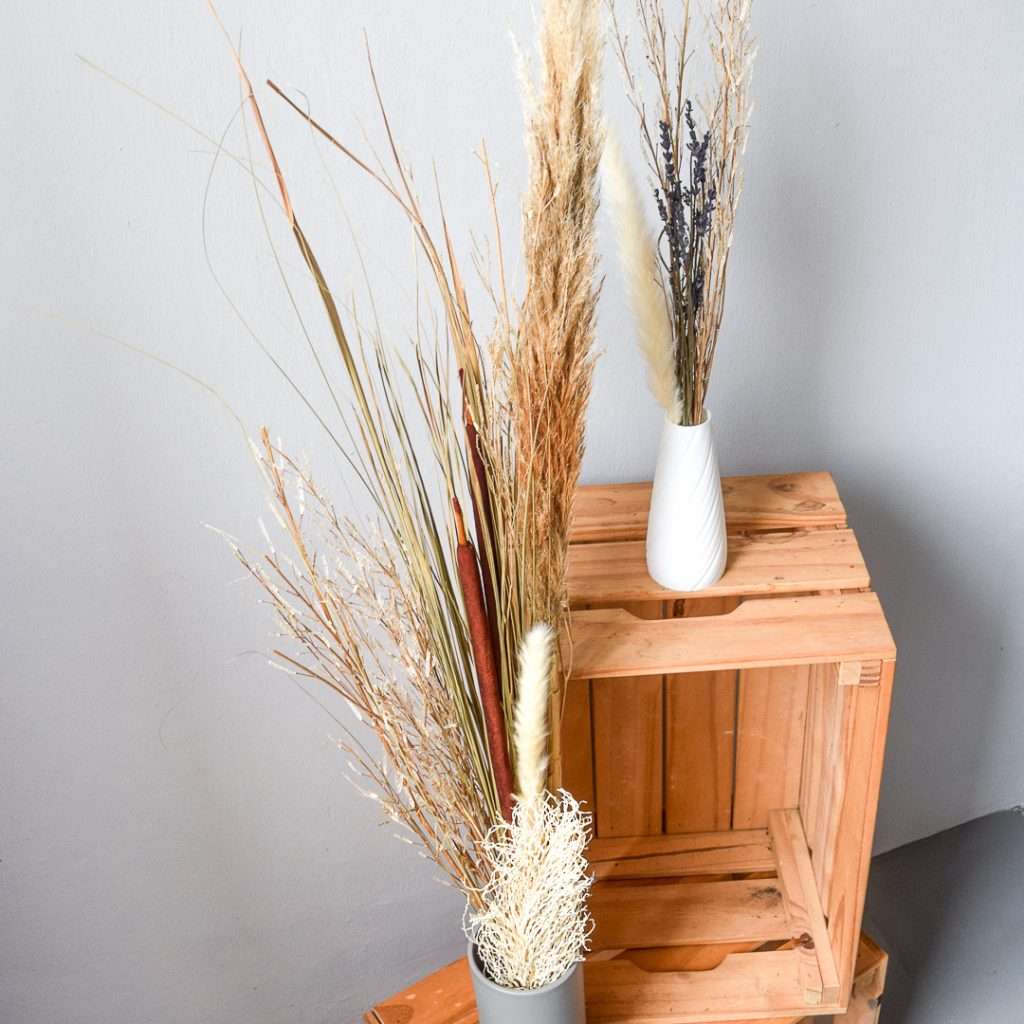 Seashell, from the Dimensions collection | PINE SG